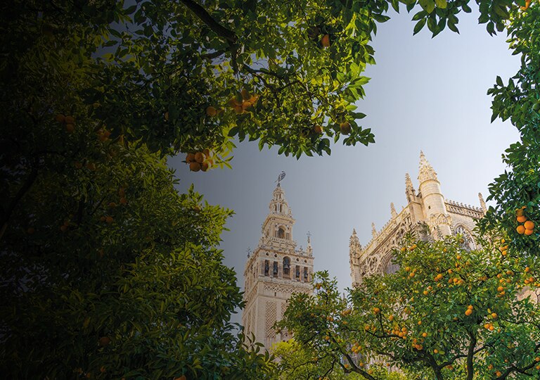 Transoceanic Crossings Luxury Cruise - Miami to Rome (Civitavecchia) on ...